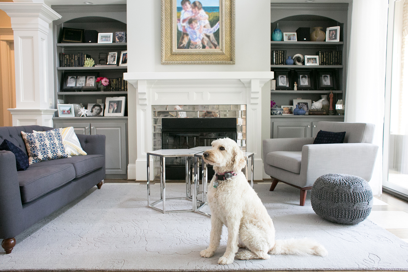 Interior Design Tips for Pet Owners | TEW Design Studio